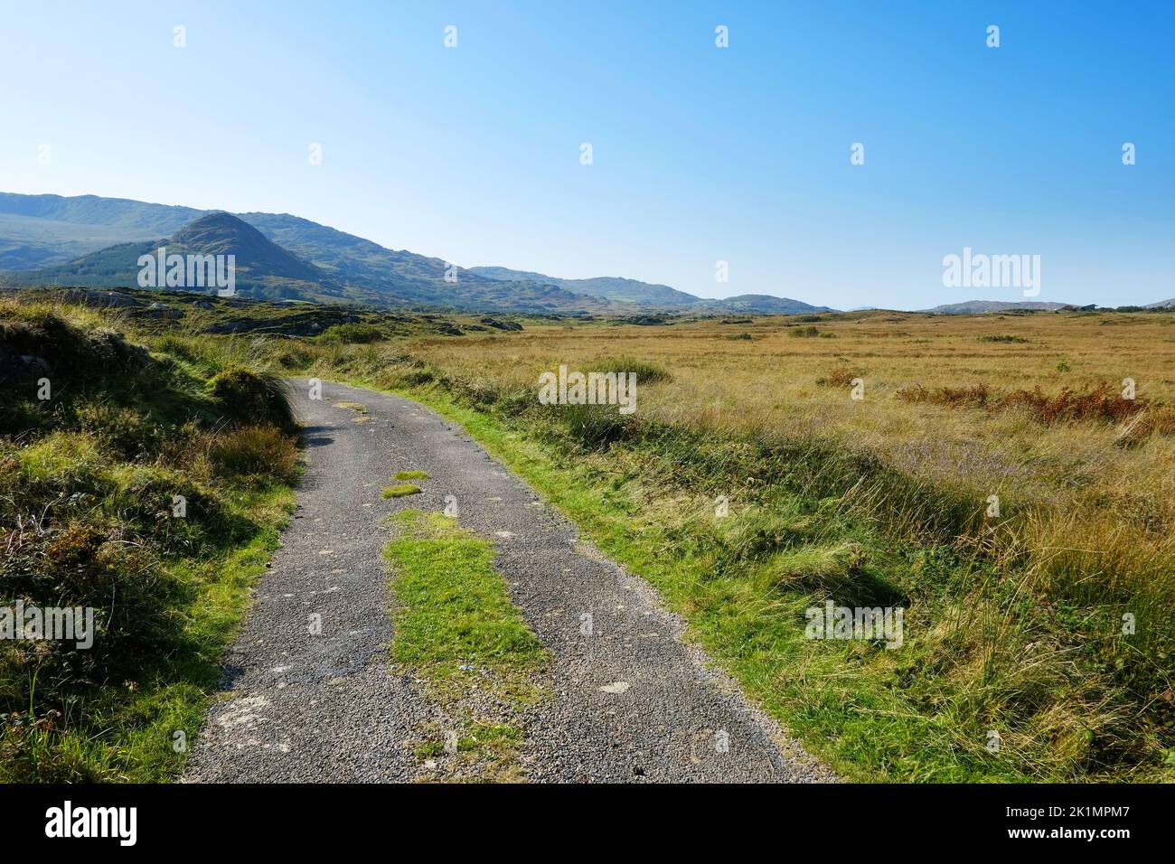 Single track road winding through the County Cork landscape near ...
