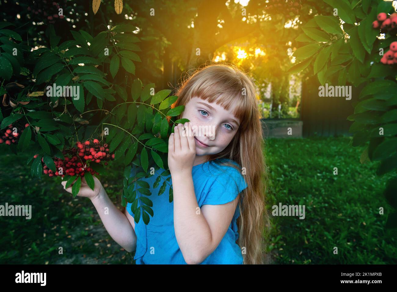 girl with a rowan tree. Portrait of a little girl 11 years old on rowan ...
