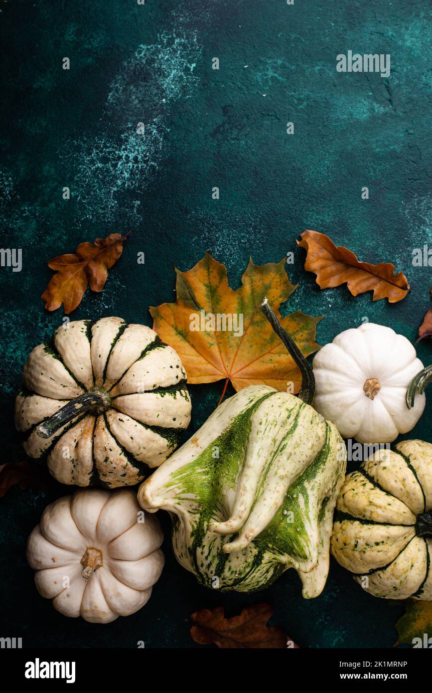 Autumn fall background with pumpkins Stock Photo - Alamy