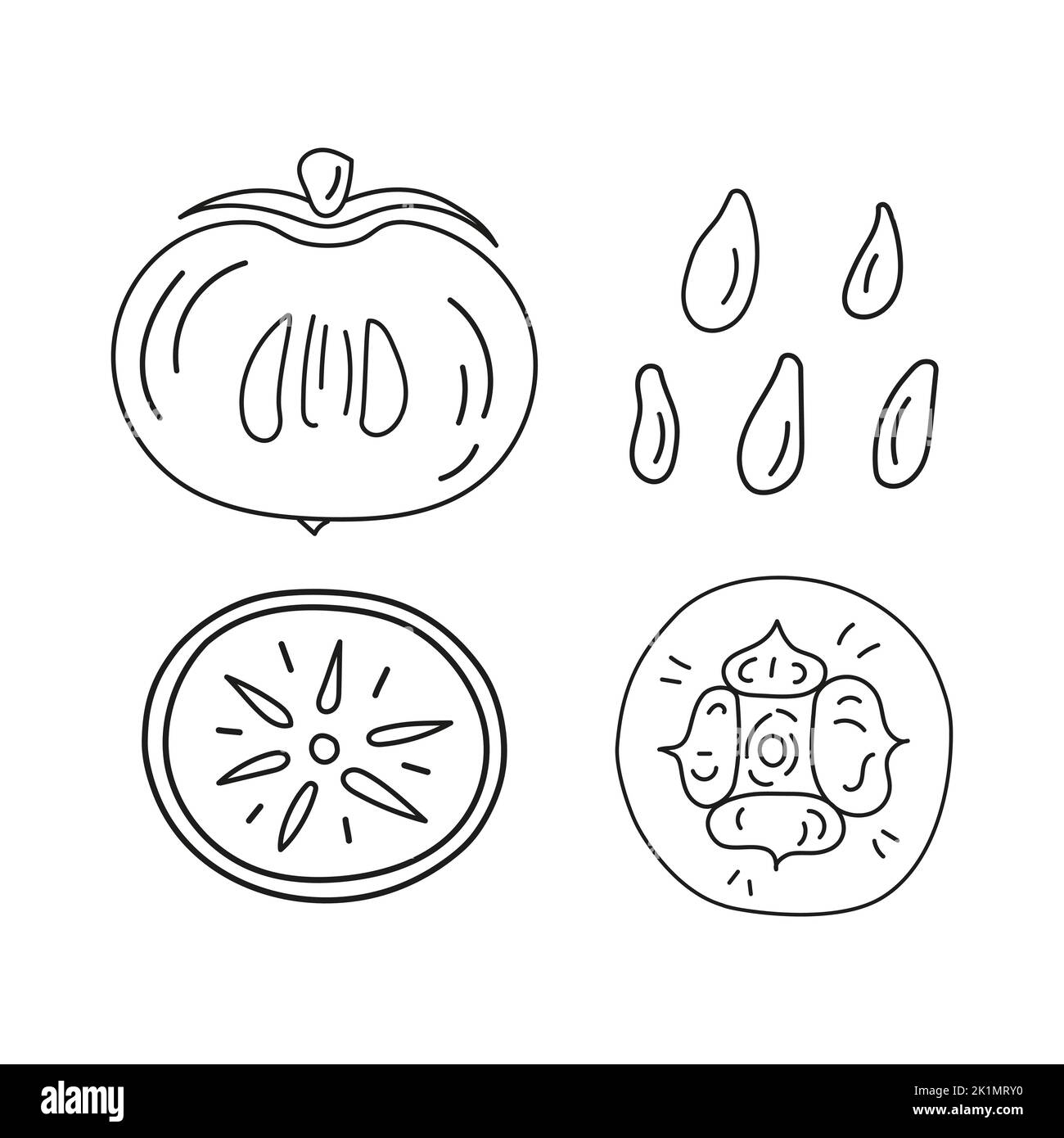 Fresh fruit shop in Stock Vector Images - Alamy