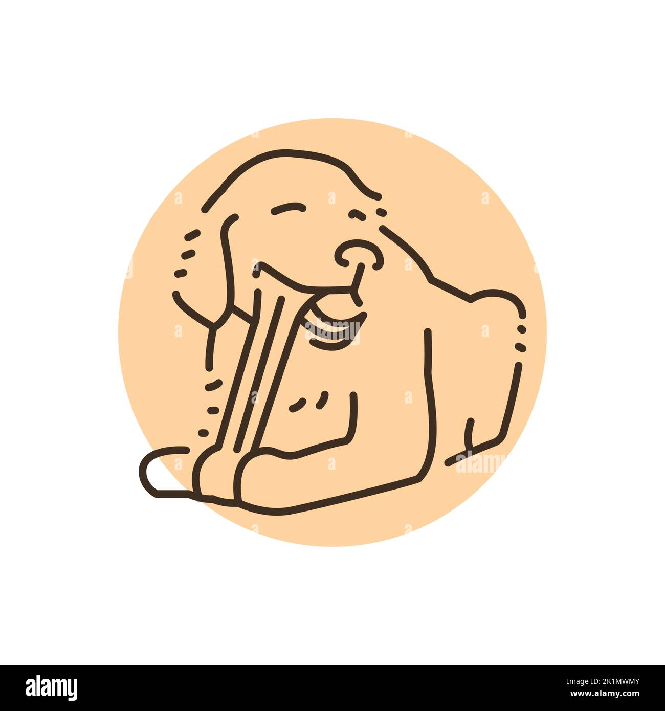 Golder retriever chewing bone color line icon. Pictogram for web page ...