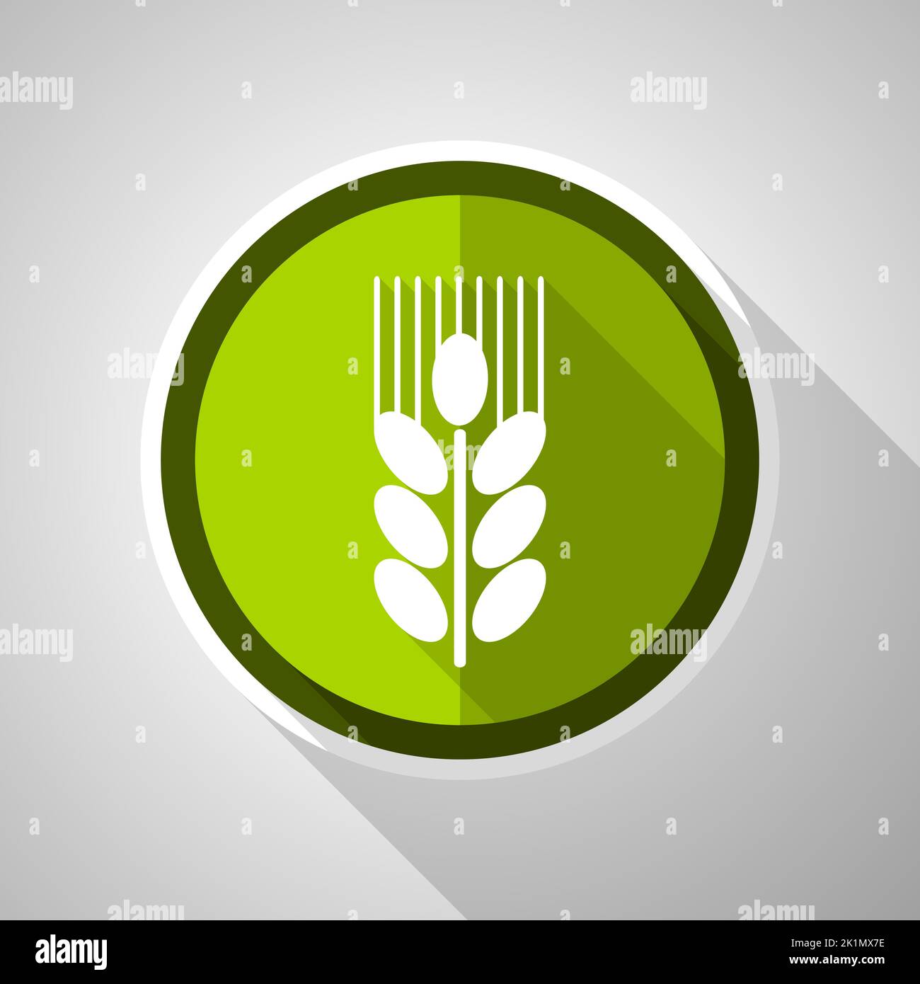 Wheat green vector icon, flat design harvest symbol Stock Vector Image ...