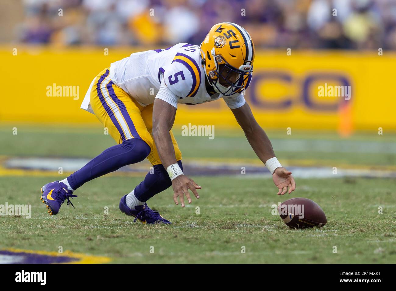 LSU Tigers quarterback Jayden Daniels (5) falls on a loose ball against ...
