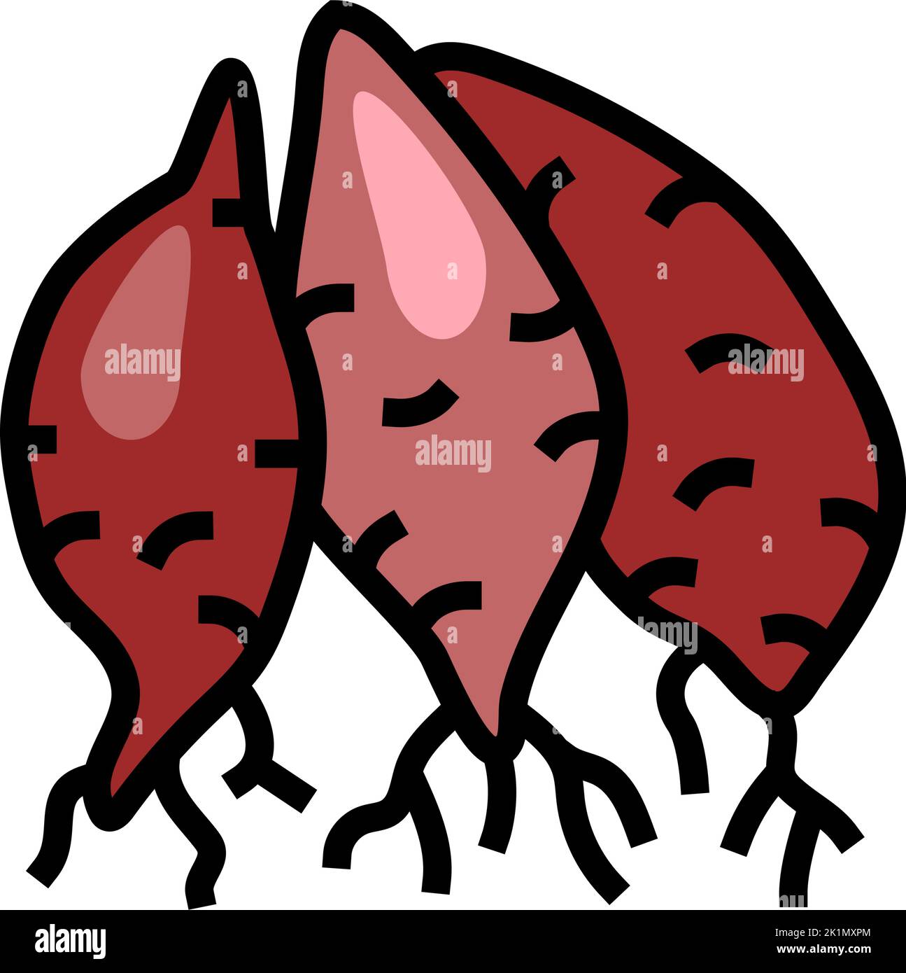 cut ripe orange sweet potatoes color icon vector illustration Stock ...