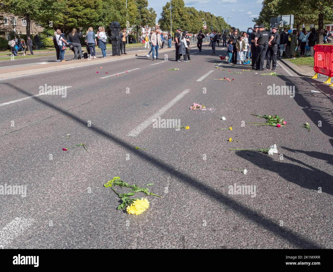 Flowers left on the road thrown at Queen Elizabeth II's passing hearse ...