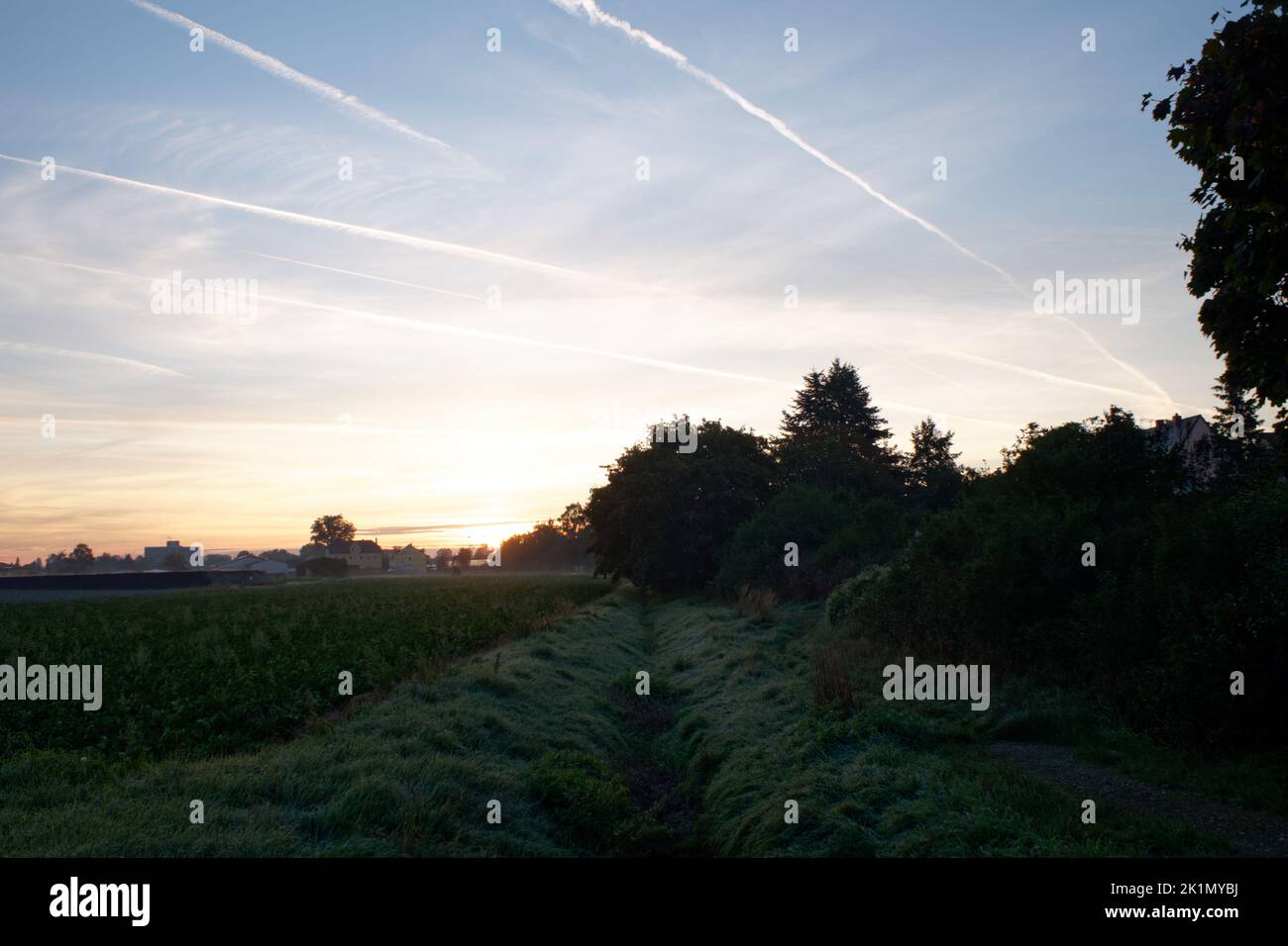 Morning mood: Sunrise over a field, blue sky with clouds and streaks of ...