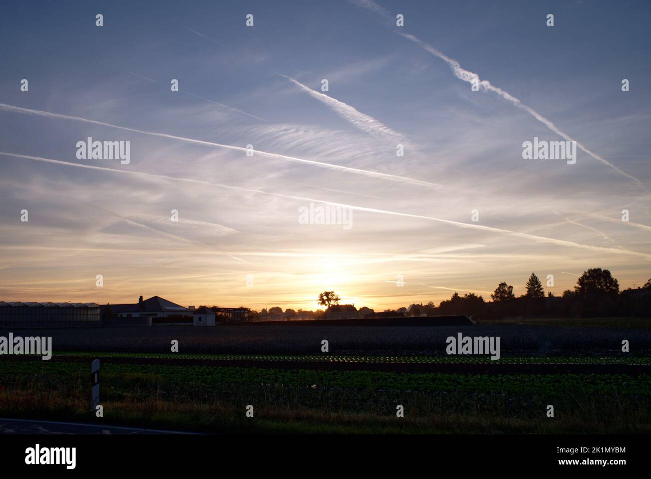 Morning mood: Sunrise behind a tree over a field, blue sky with clouds ...