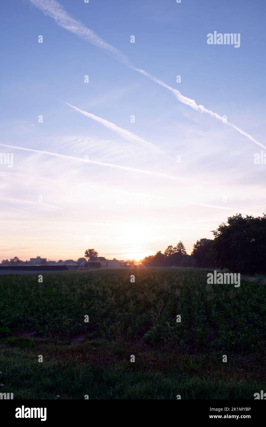 Morning mood: Sunrise over a field, blue sky with clouds and streaks of ...