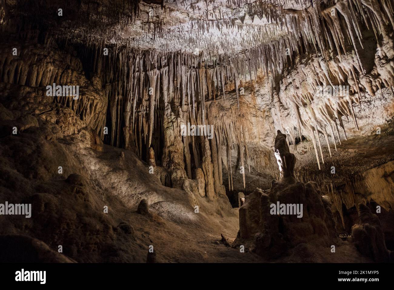 Drach cuevas, Dragon caves, Hams caves, Mallorca, Spain Stock Photo - Alamy