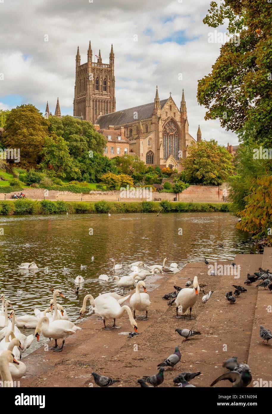 Worcester Cathedral Worcestershire Stock Photo - Alamy