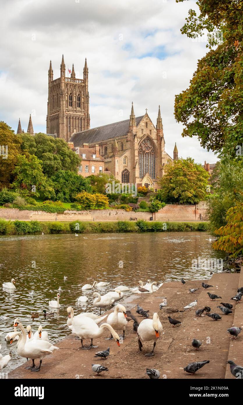 Worcester Cathedral Worcestershire Stock Photo - Alamy