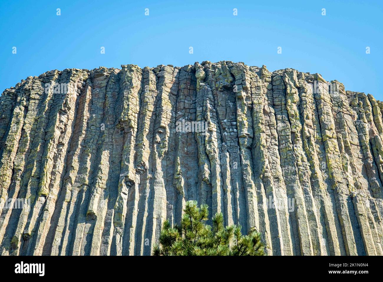 Devils Tower National Monument, Wyoming, USA: eroding geologic pillars ...
