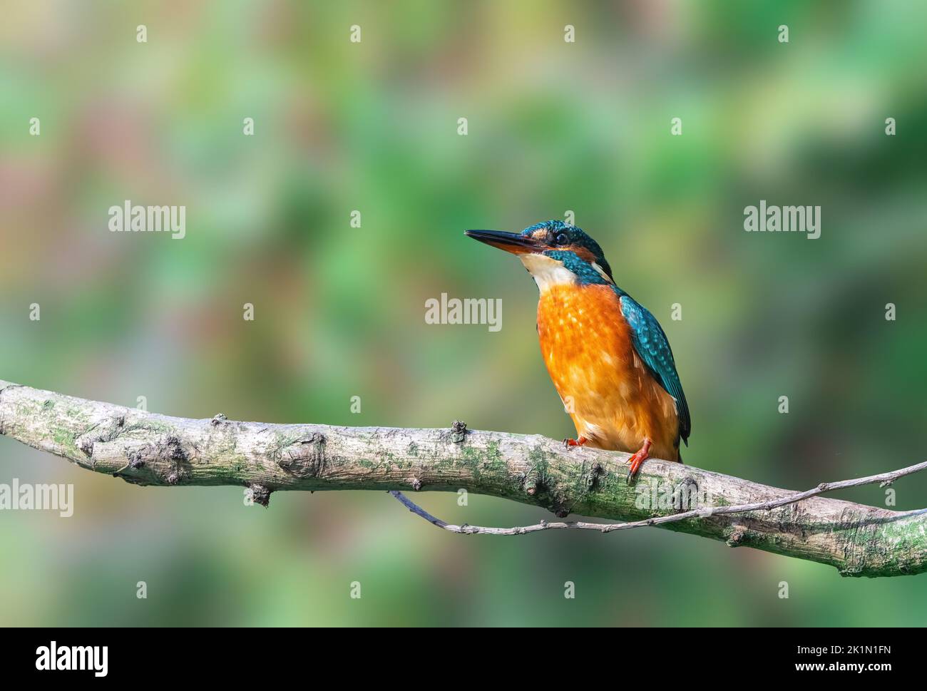 Toton sideings hi-res stock photography and images - Alamy