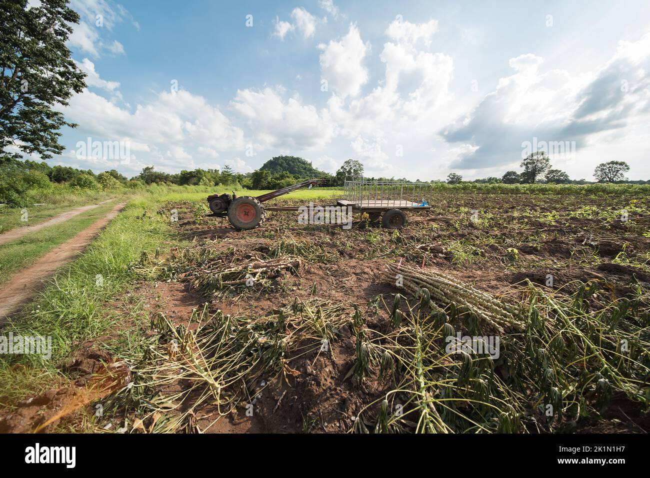 Kabin buri hi-res stock photography and images - Alamy