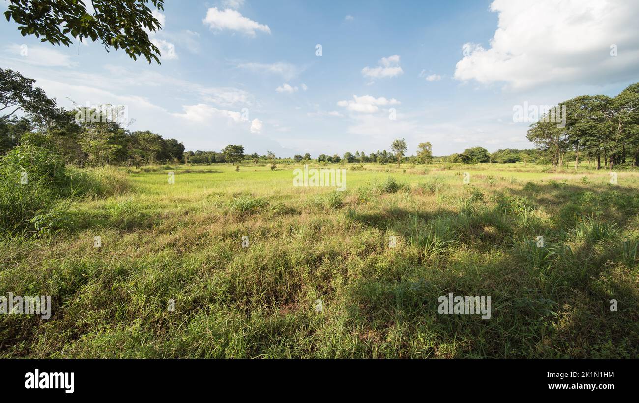 Kabin buri hi-res stock photography and images - Alamy