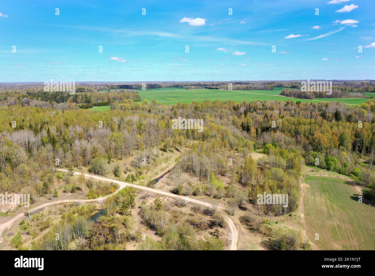 Aerial view of forests surrounded by green farmland fields in spring ...