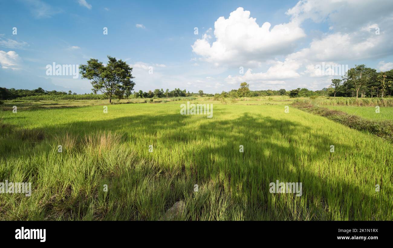 Kabin buri hi-res stock photography and images - Alamy