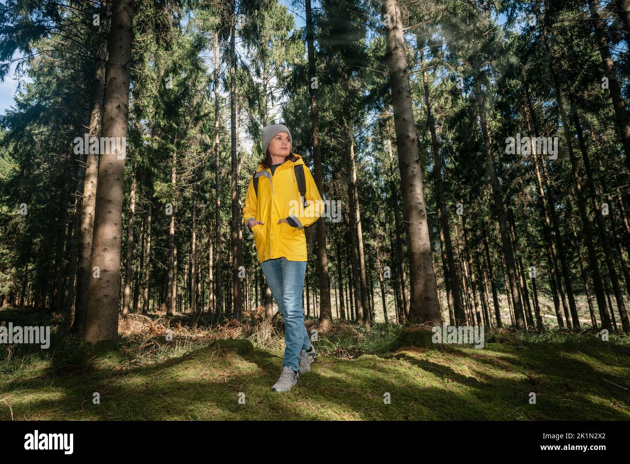 Woman backpacker walking through woodland Stock Photo - Alamy