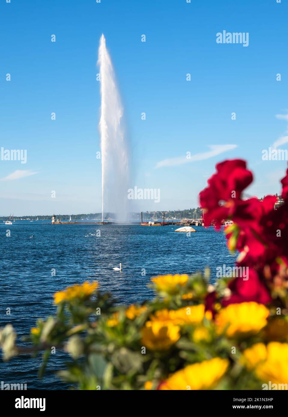 Water jet of Geneva, Switzerland, is a large fountain and one of the ...