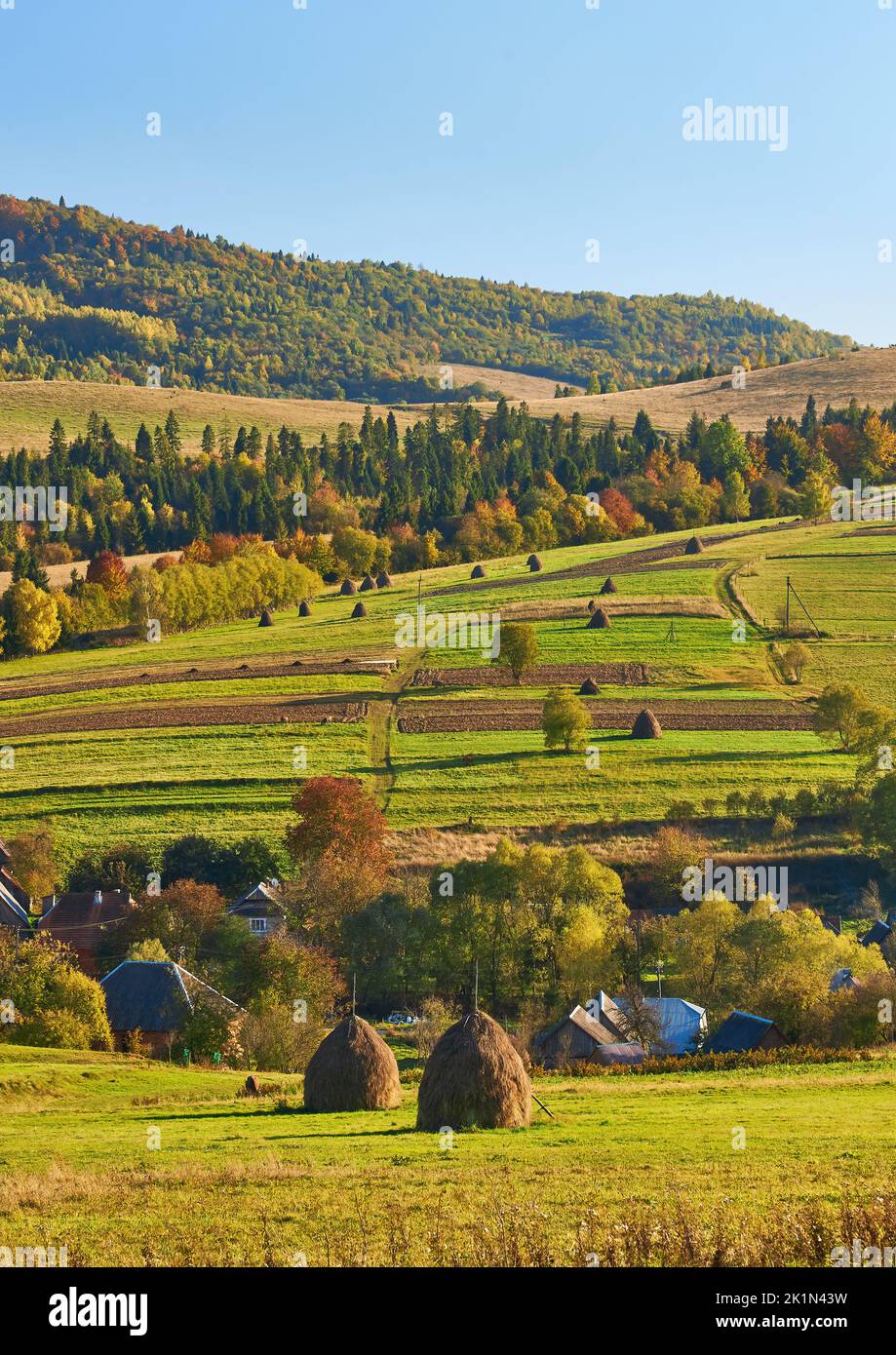 Colorful autumn landscape scene with fence in Transylvania mountain ...