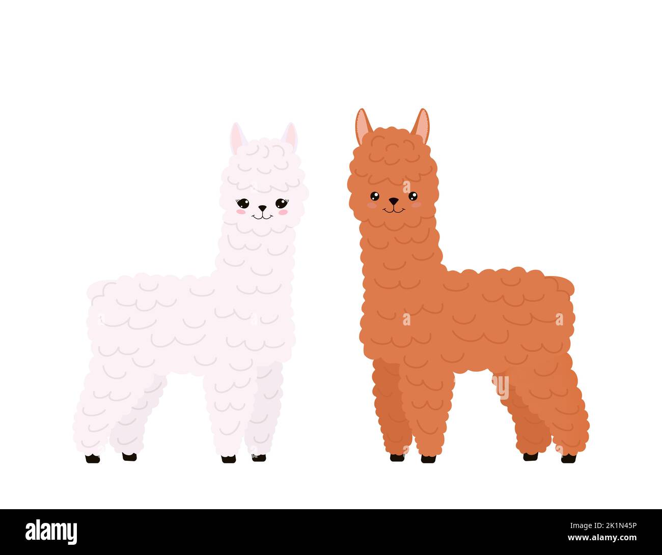 Cute two llamas on white background. Funny kawaii characters of alpaca ...