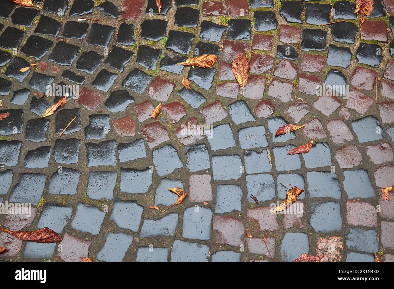 Wet concrete after rainfall hi-res stock photography and images - Alamy