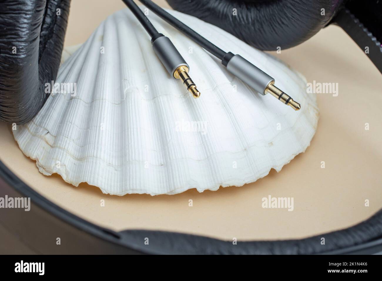 headphones plugs on a white seashell, seaside music concept Stock Photo ...