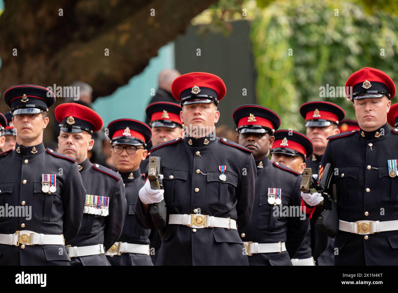 Images of the armed services during The Queen Elizabeth II state ...
