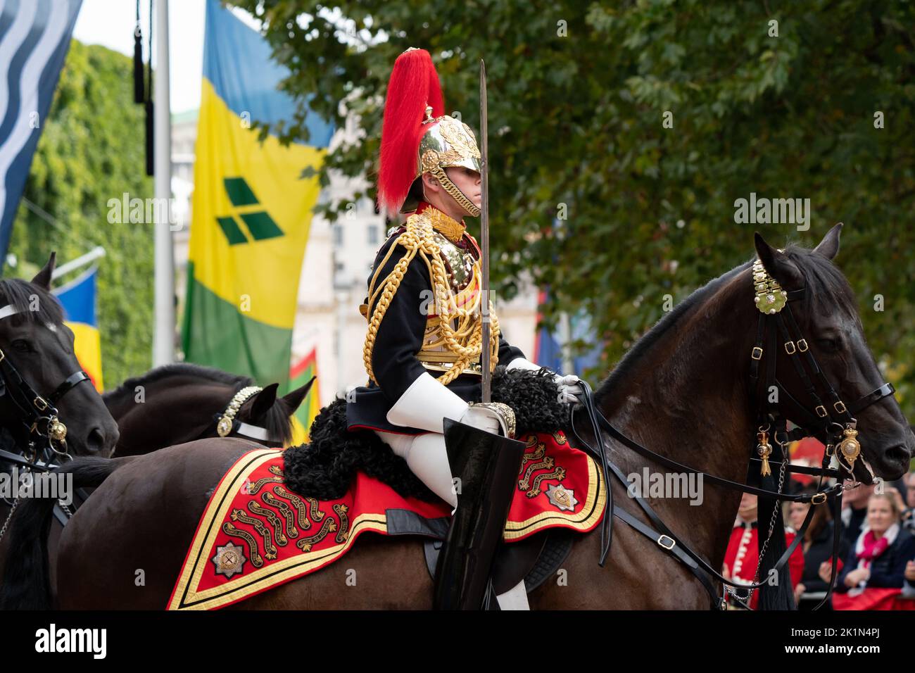 Images of the armed services during The Queen Elizabeth II state ...