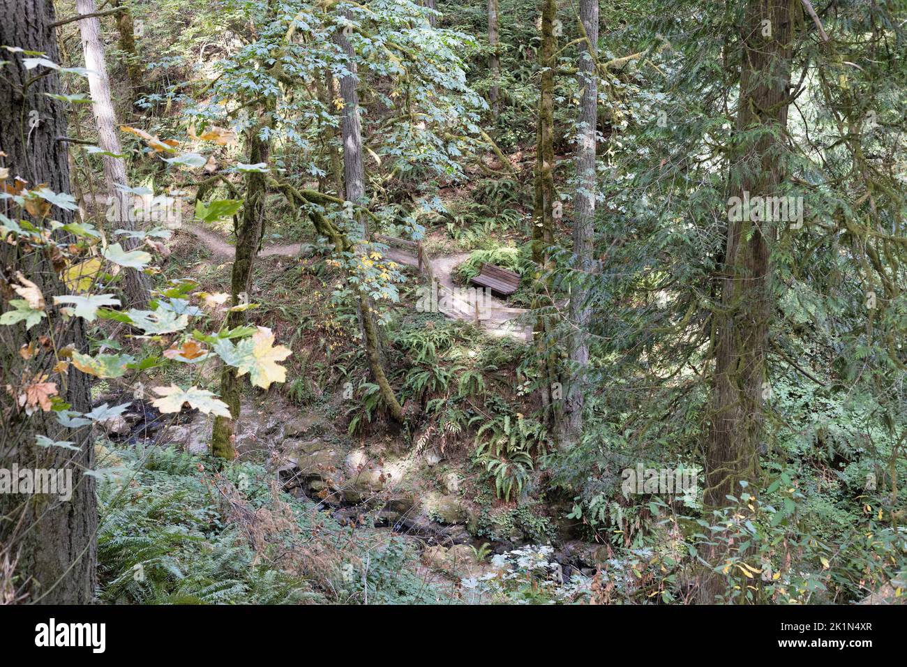 Portland trail hi-res stock photography and images - Alamy