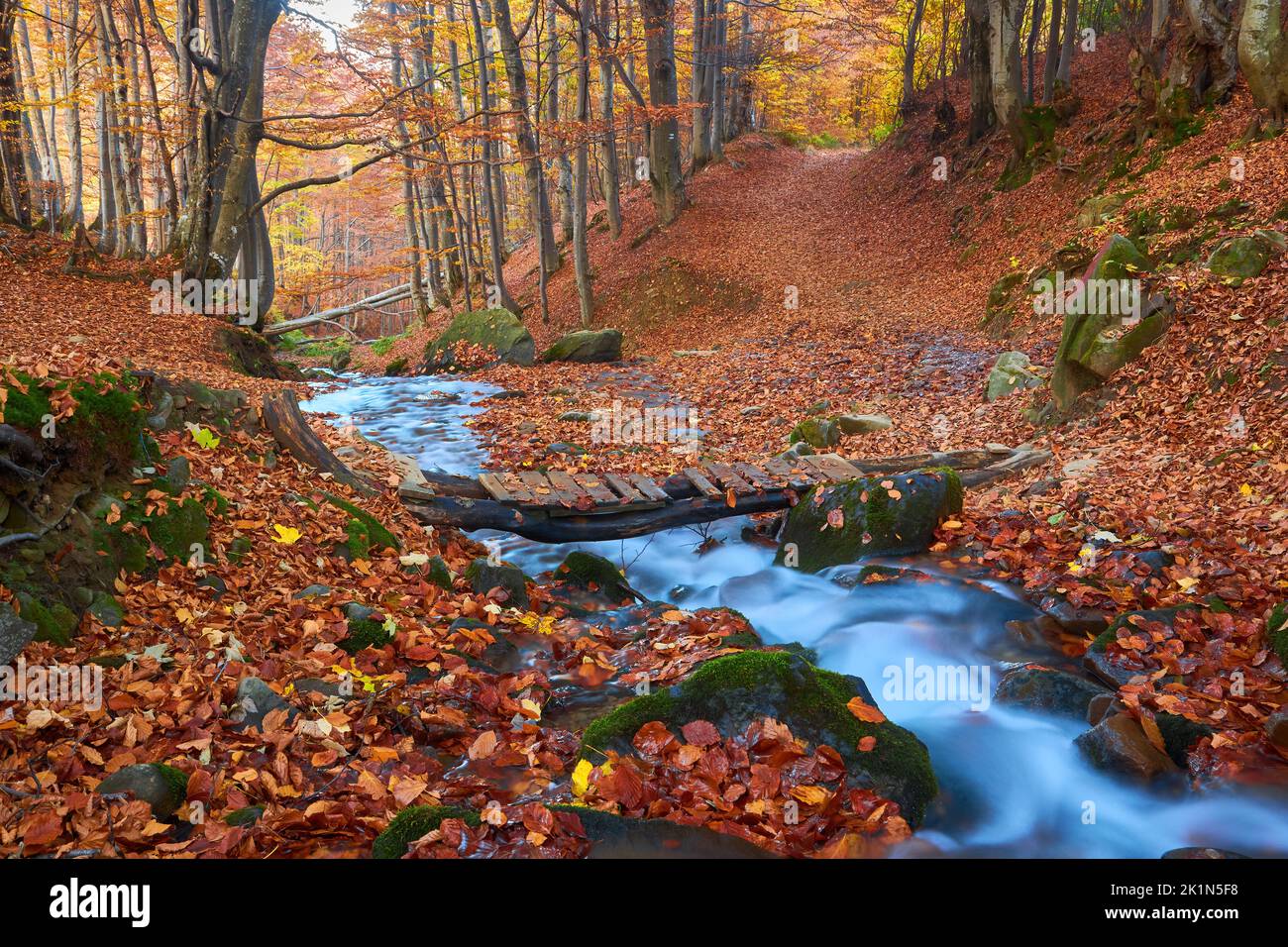 A bridge over a fast stream in the autumn forest. Autumn river stream ...