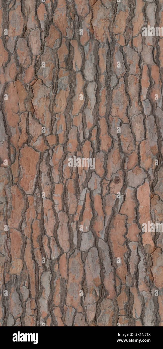 Texture seamless Bark wood, high quality Stock Photo - Alamy