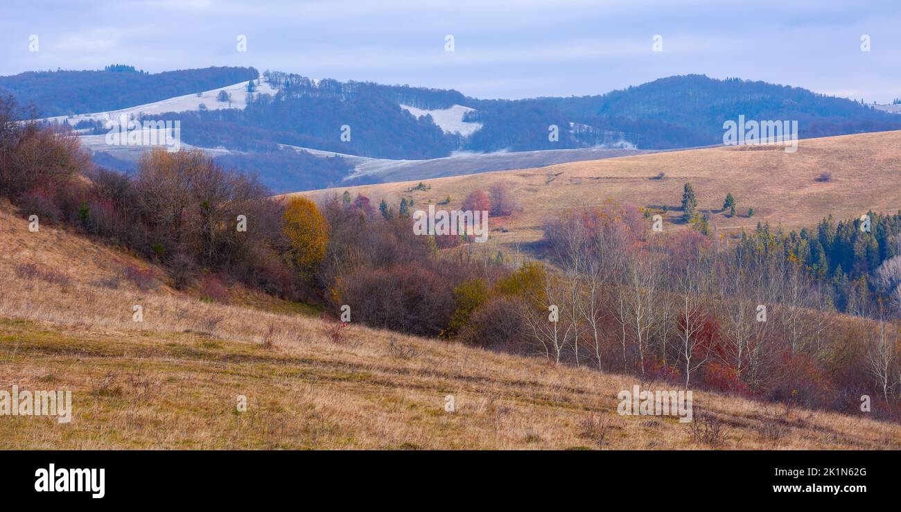countryside landscape in late autumn. trees in fall foliage on colorful ...