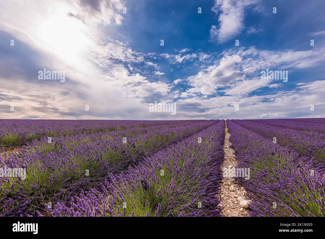 Summer destination scenic in provence hi-res stock photography and ...