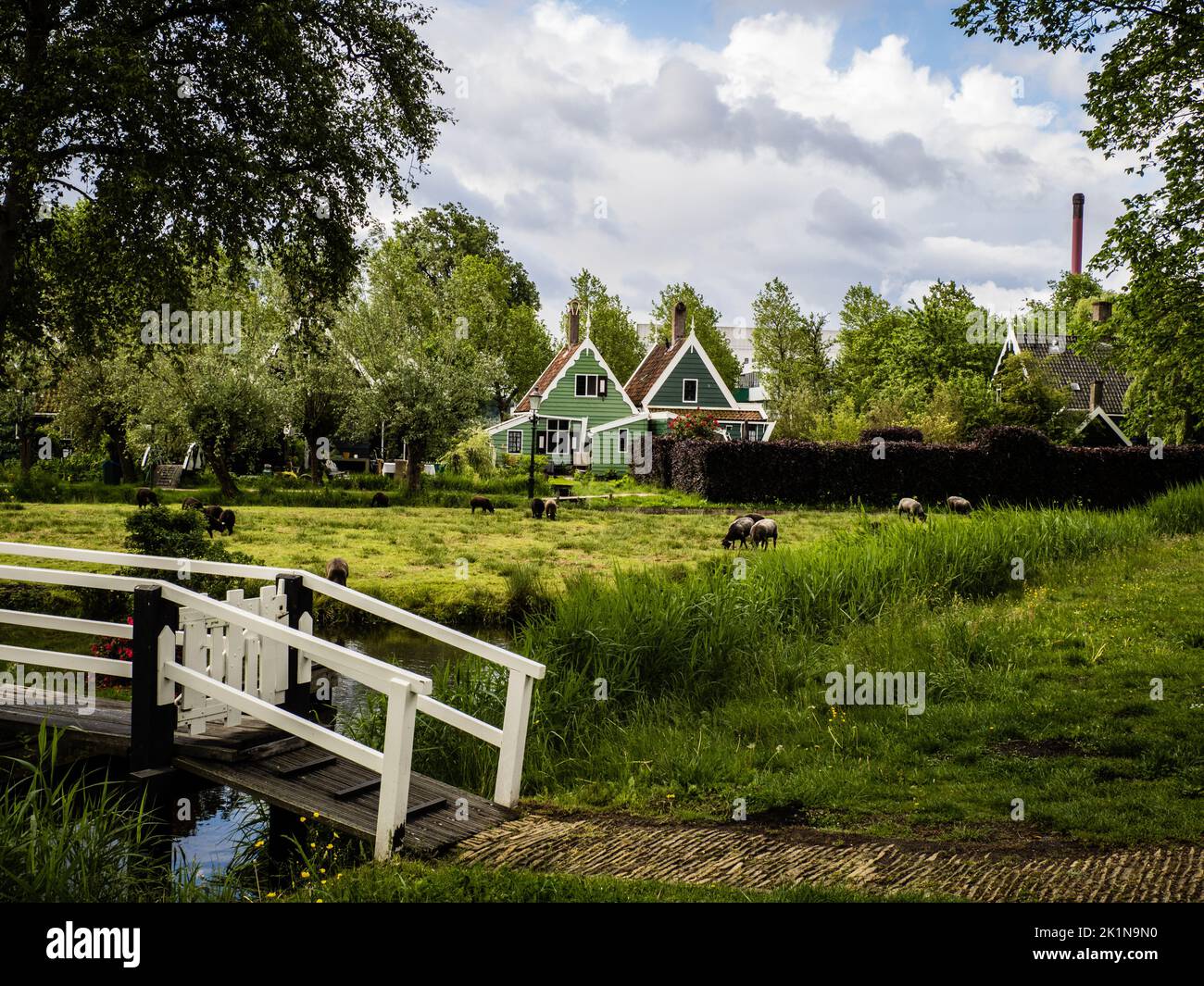 Meadow landscape of the village of Zaansche Schans, Holland Stock Photo ...