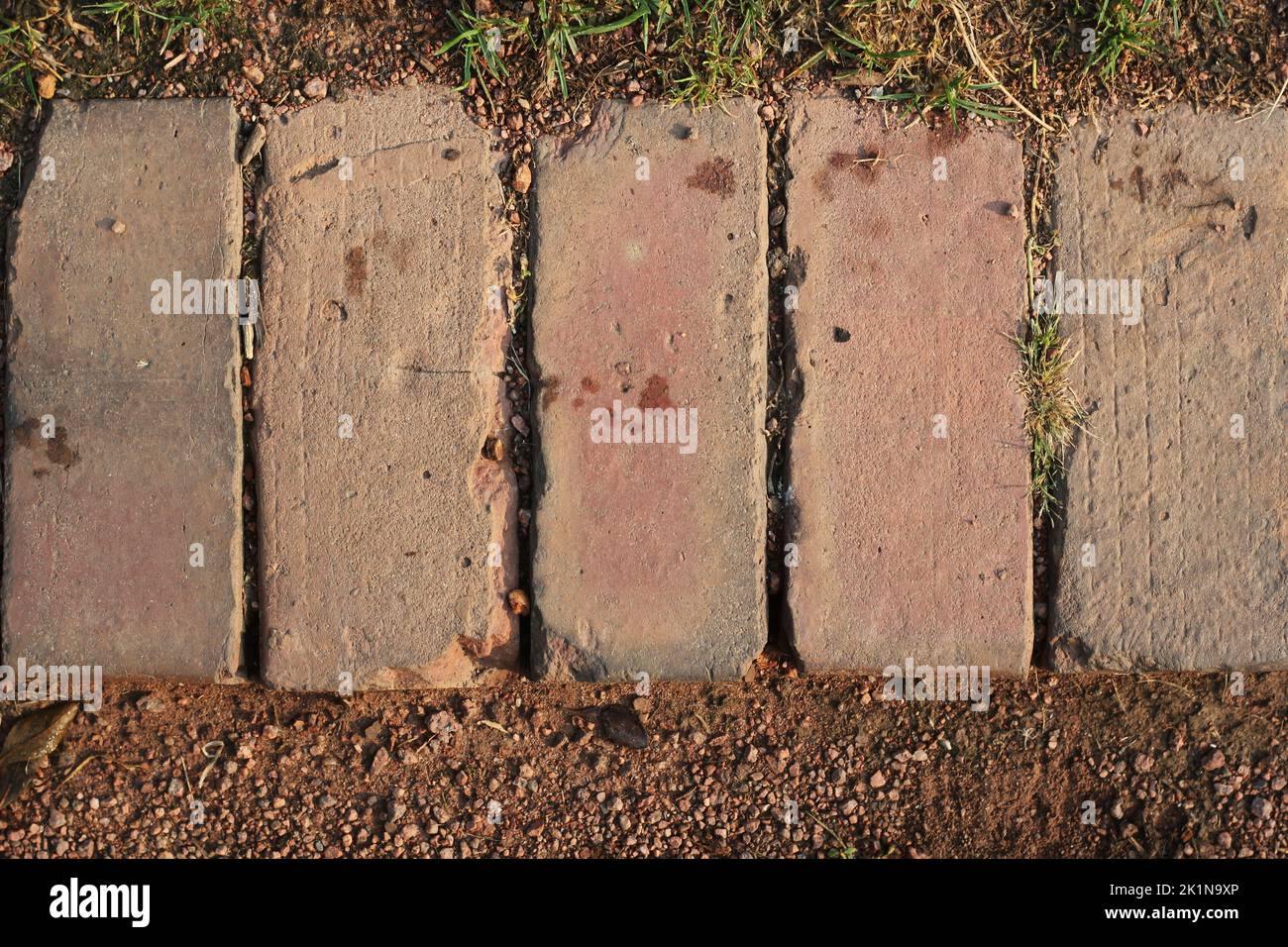 Common clay brick lining a garden path Stock Photo - Alamy