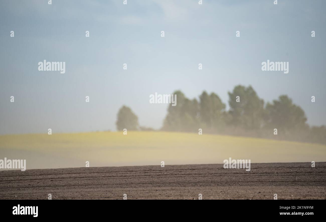 Sandstorm over farmland. Silence and wind blowing a cloud of dust. The ...