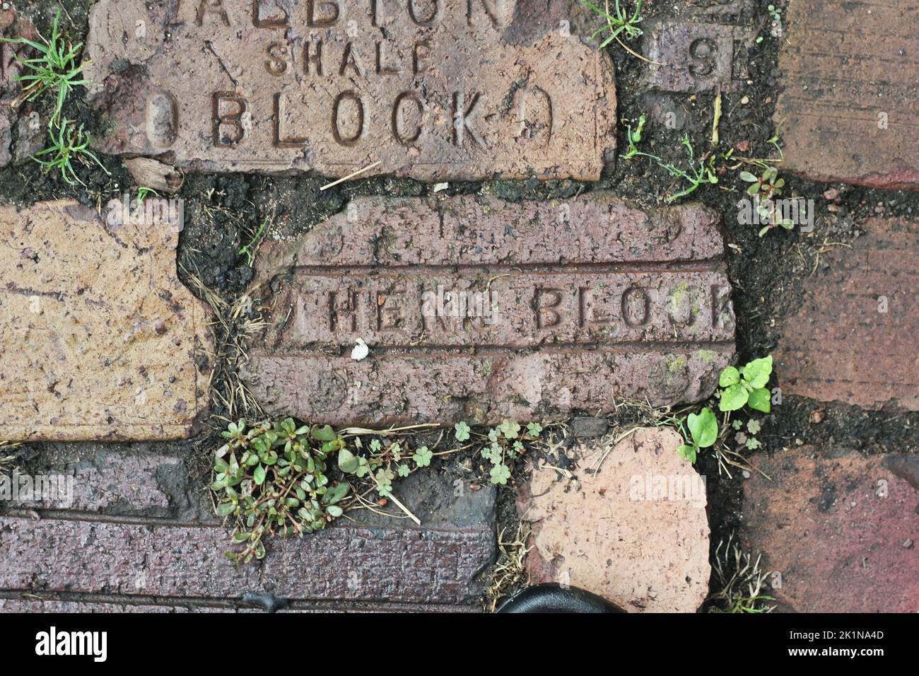 Top view of vintage Athens block bricks lining a walk in the garden ...