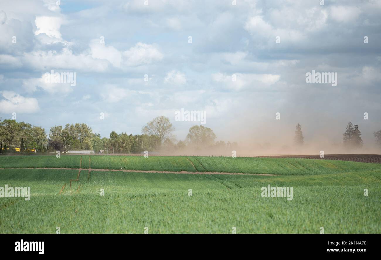 Sandstorm over farmland. Silence and wind blowing a cloud of dust. The impact of drought on ...