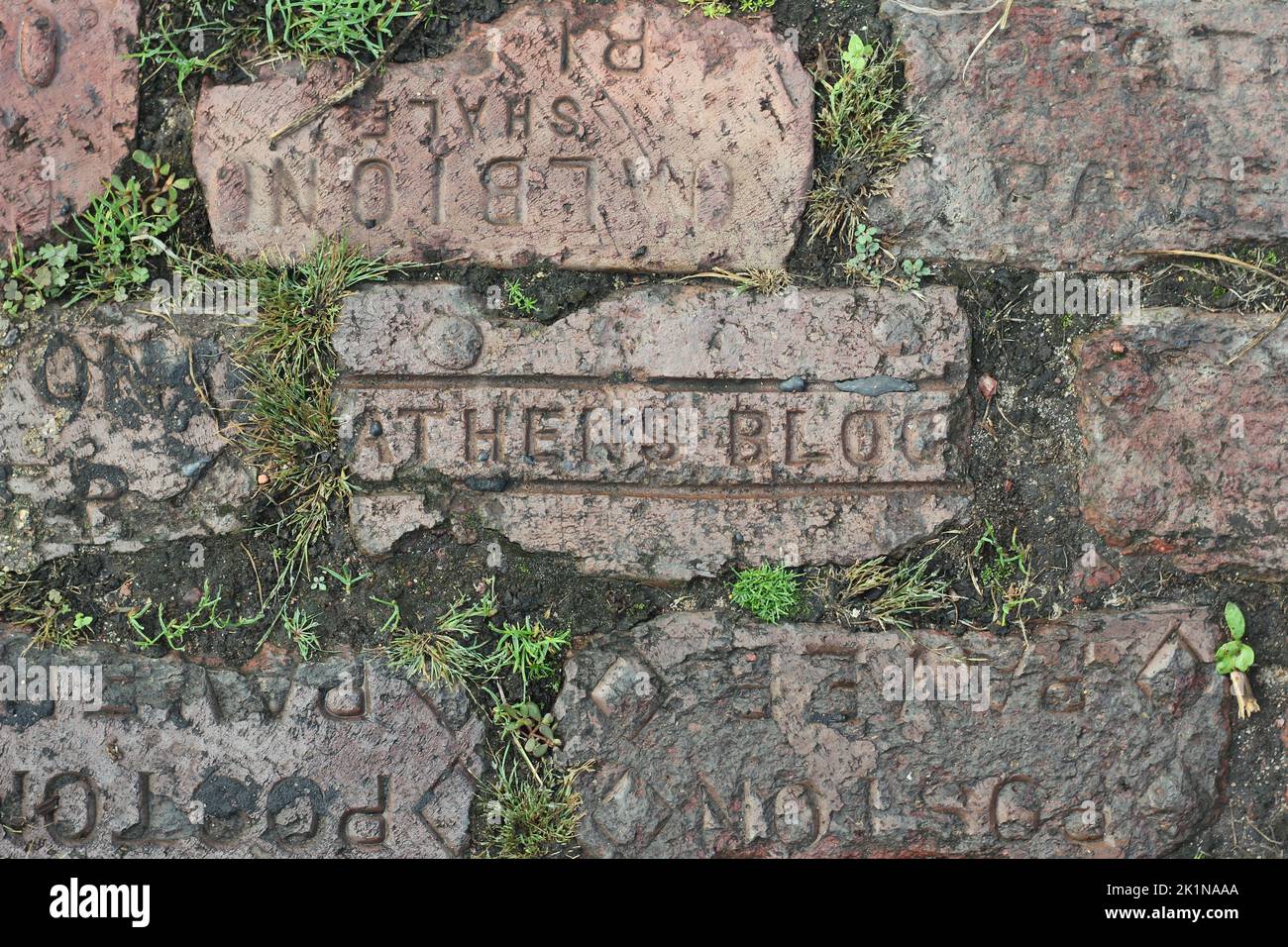 Top view of vintage Athens block bricks lining a walk in the garden ...