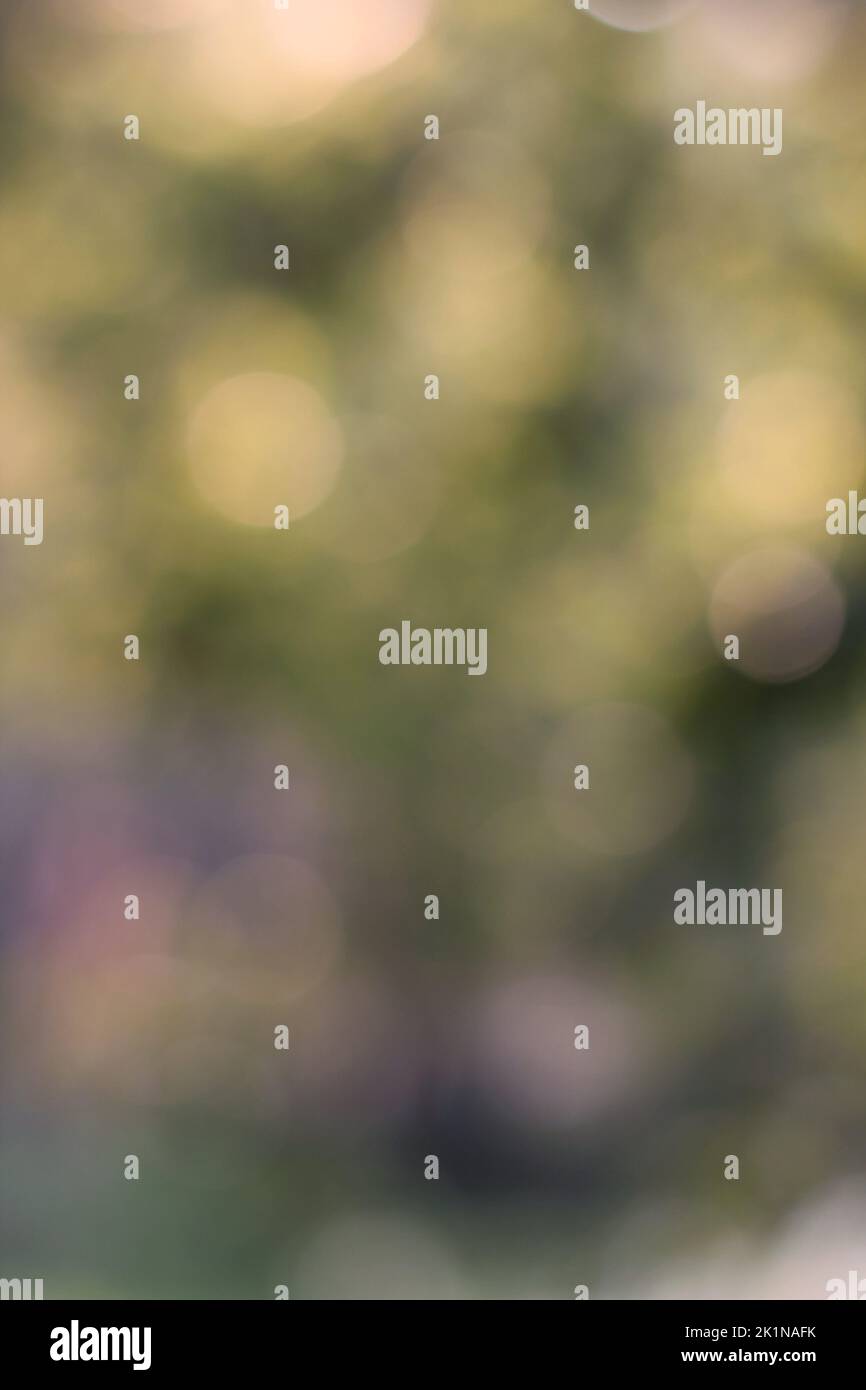 Blurry dreamy bokeh dancing in the meadow Stock Photo - Alamy