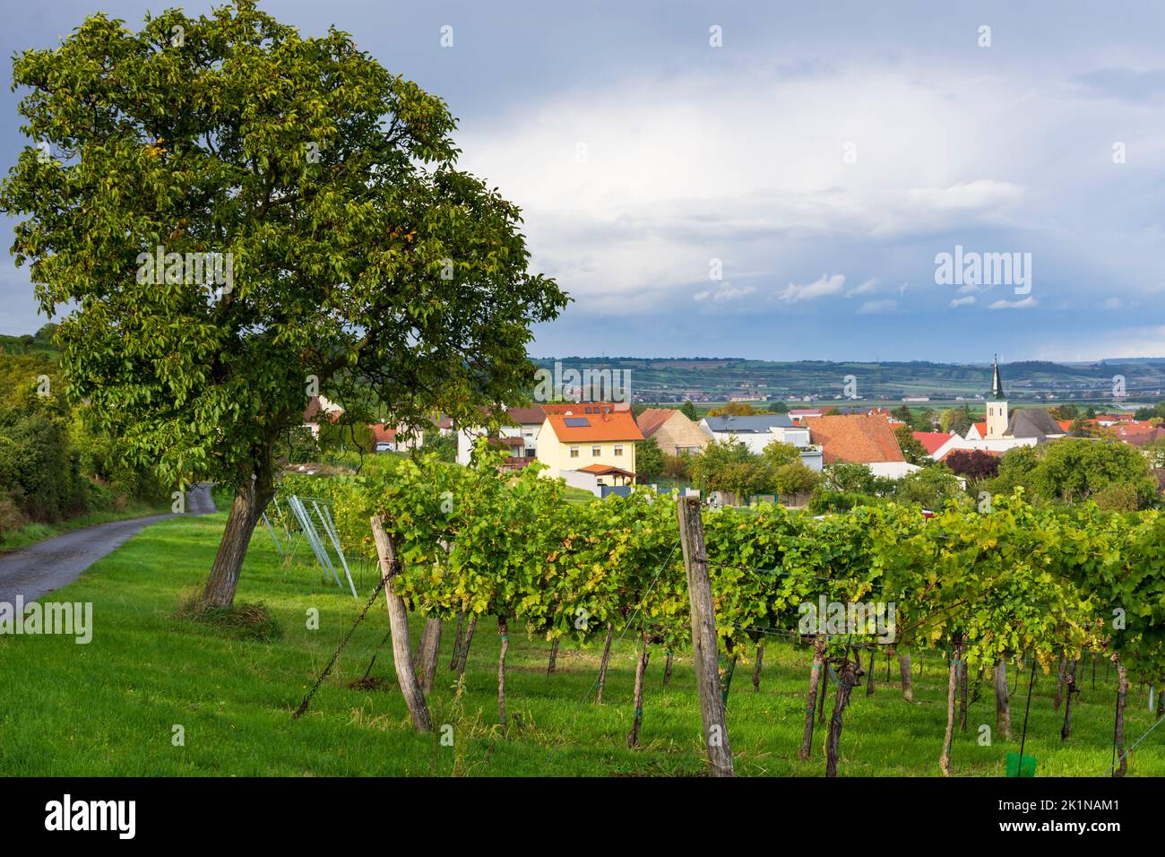 Hagenbrunn: view to Hagenbrunn, vineyard, chapel St. Anna in ...