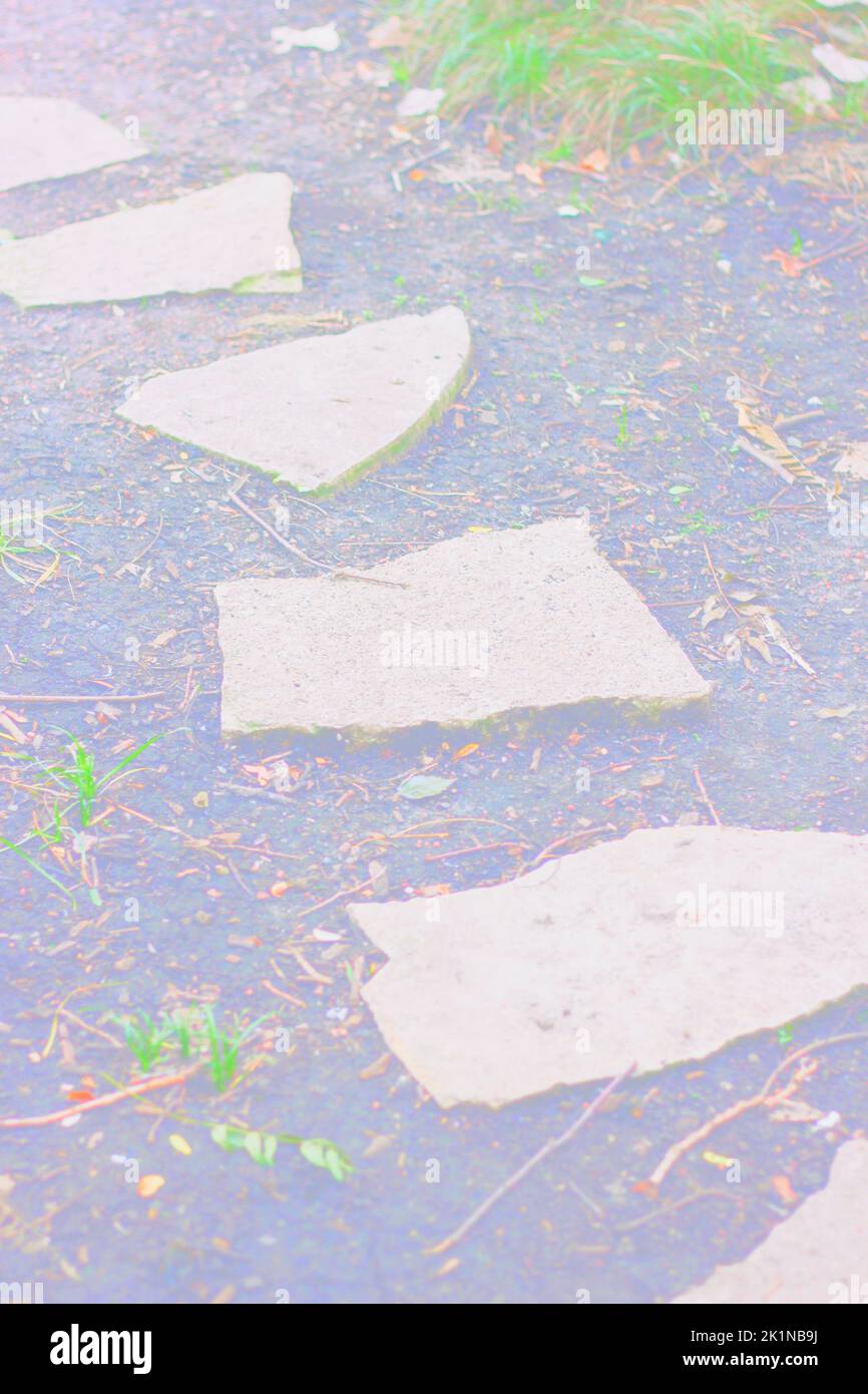 Winding garden path illustration hi-res stock photography and images ...