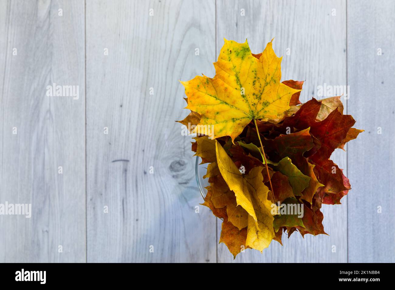 A bunch of colorful, dried autumn leaves Stock Photo - Alamy