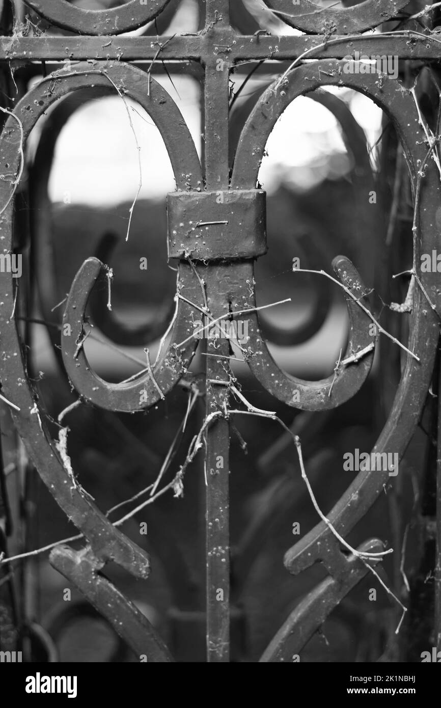 Fancy decorative wrought iron gate with lots of interesting details in ...