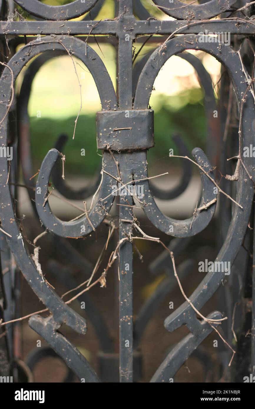Fancy decorative wrought iron gate with lots of interesting details ...