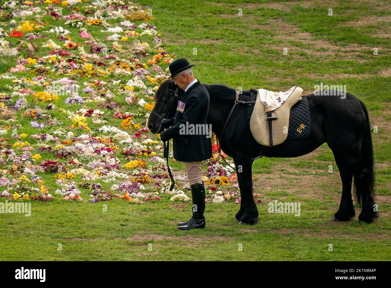 Emma fell pony queen hi-res stock photography and images - Alamy
