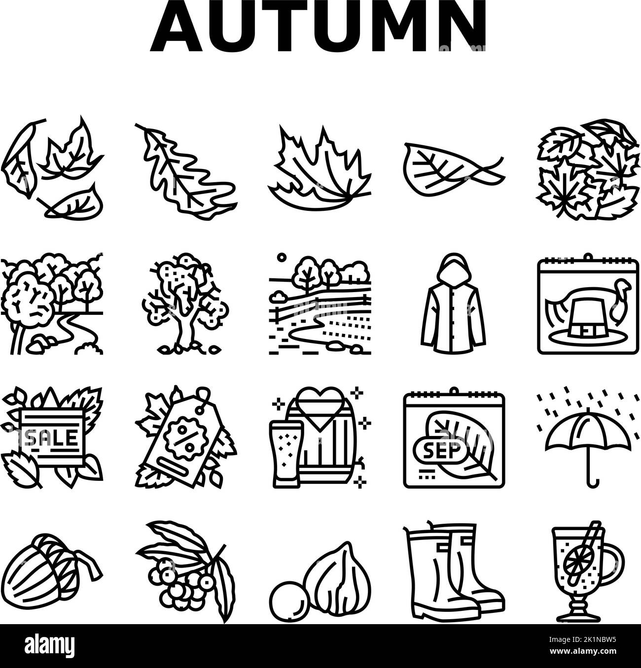 autumn fall leaf nature season icons set vector Stock Vector Image ...