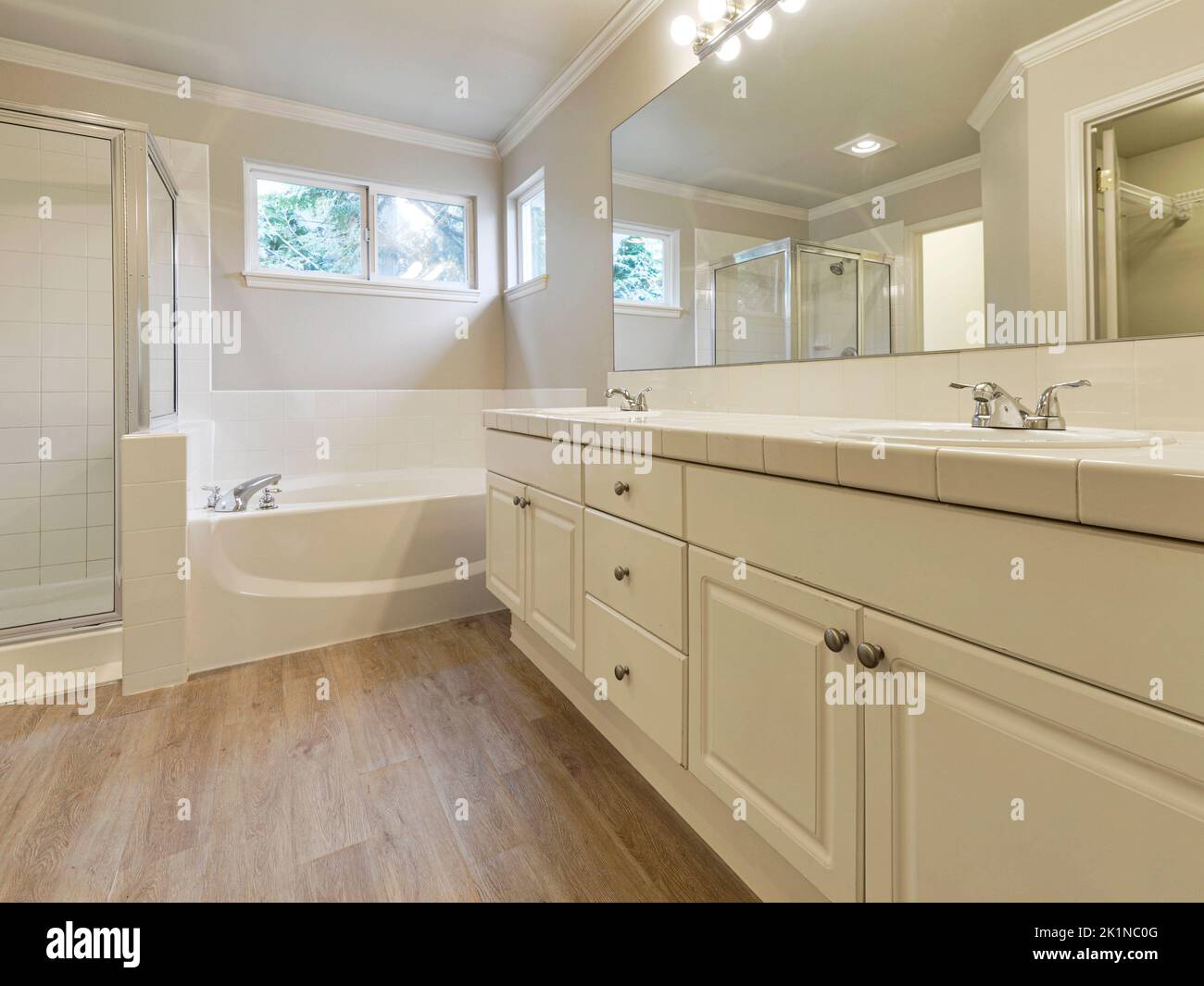 Modern residential bathroom interior Stock Photo - Alamy