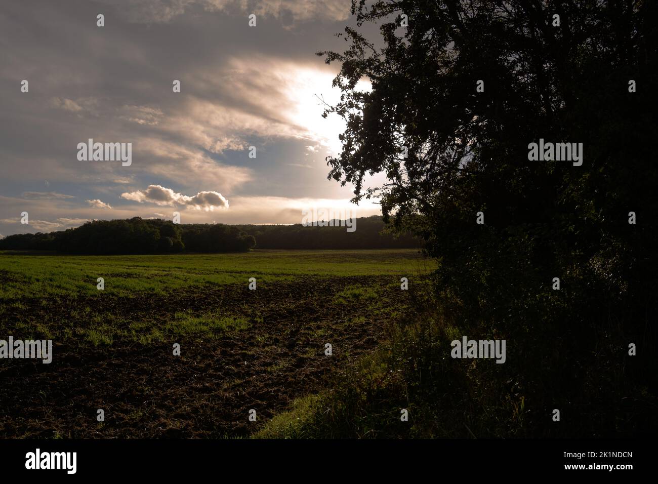 Seeing the heaven's gate open, but the main view is blocked by trees ...